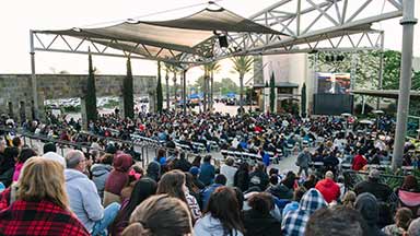 Contact Us - Harvest: Greg Laurie